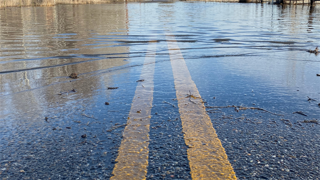 Flood Awareness - City of Dunedin, FL