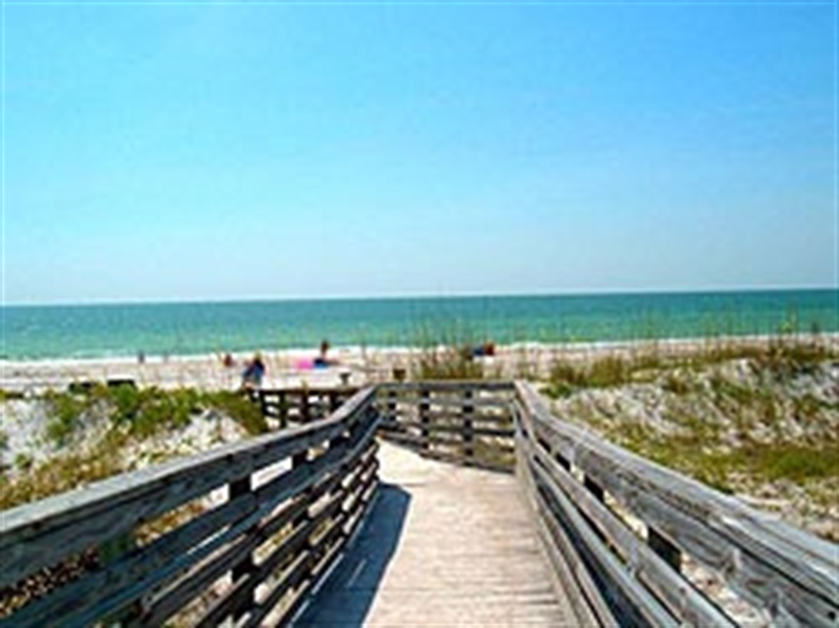 Dunedin Florida Beaches Map