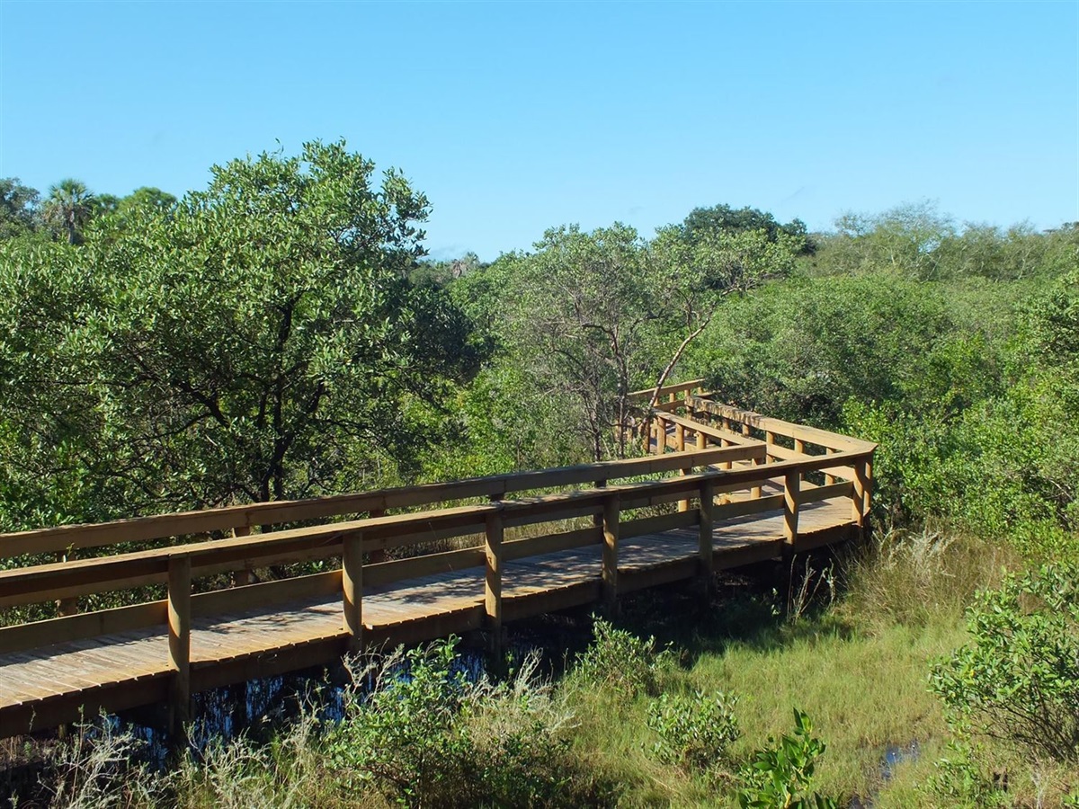 Parks & Recreation - City of Dunedin, FL