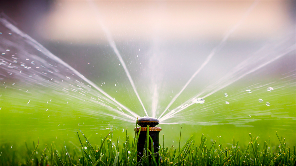 Reclaimed Water - City of Dunedin, FL